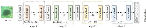 Underwater Ycc Underwater Target Detection Optimization Algorithm