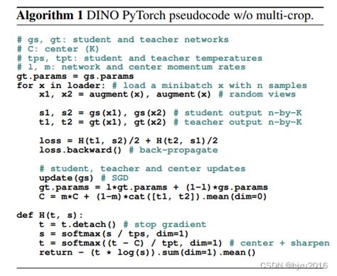 【自监督论文阅读 3】dinov1 Csdn博客