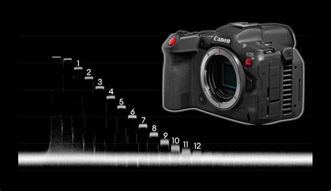 Canon EOS R5 C Lab Check Rolling Shutter Dynamic Vary And Latitude US Digital News