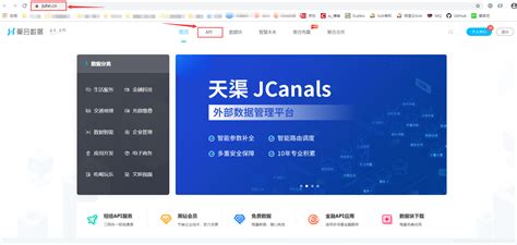 Java代码调用聚合数据 查询全国车辆违章接口返回违章结果聚合数据怎么查违章 Csdn博客