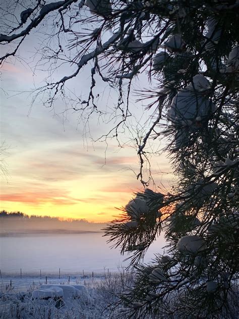 Sonam Ojha Posted On Linkedin