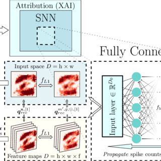 Workflow Of The SCP Based Detector For An Image Classification Task Download Scientific Diagram