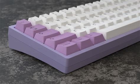 Kbd67 Lite R3 Lavender Barebones Keyboard Kit 65 Layout Ansi Layout Kbdfans