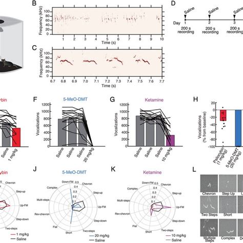 Classical Psychedelics And Ketamine Suppress The Production Of Social
