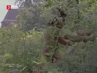 Naked Nadja Puls In Polizeiruf