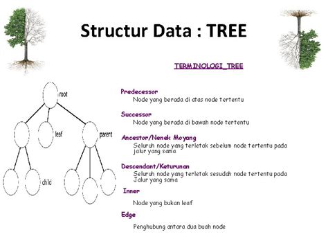 Struktur Data 2014 M Bayu Wibisono Struktur Data