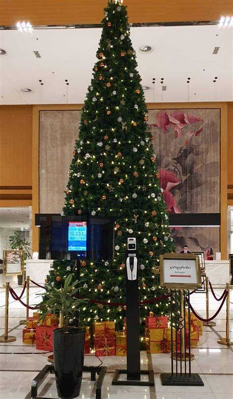 მოლეკულა • Molecule Home