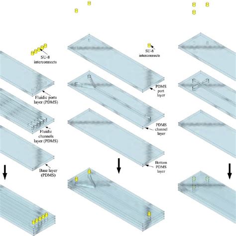 Different Designs Of The Hybrid Microfluidic Devices All The Pdms Download Scientific Diagram