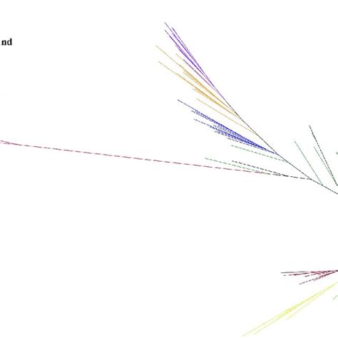 Contemporary Population Structure Of Shanghai H Pylori Isolates H