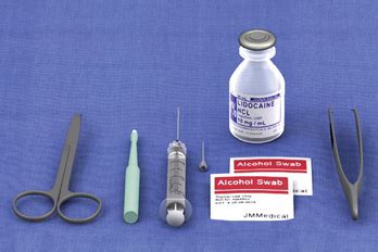 Vulvar Biopsy Basicmedical Key