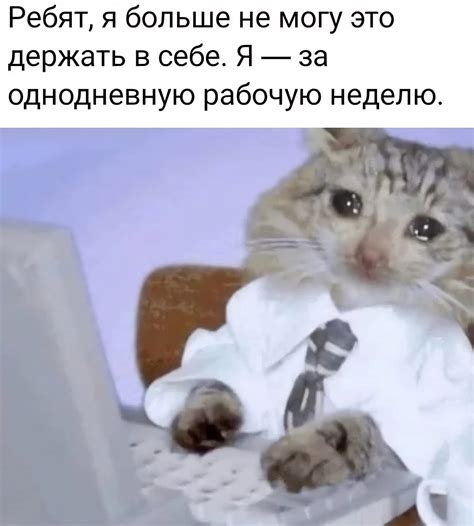 Ребят я больше не могу это держать в себе Я за однодневную рабочую