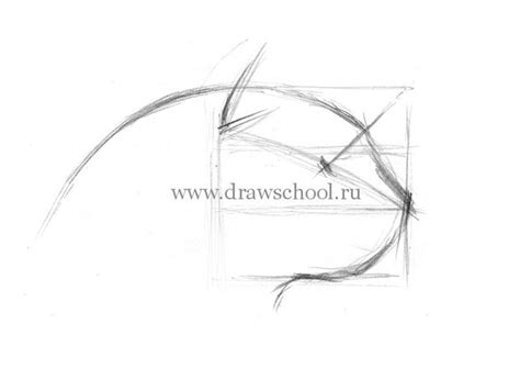 Как нарисовать мордочку кошки карандашом Disegni