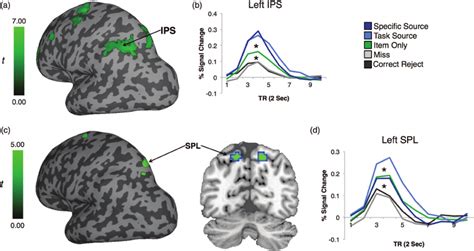 Functional Heterogeneity Of Memory Retrieval Effects Within Dorsal PPC Download Scientific