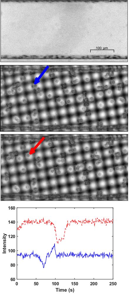 A Close Up View Of A Single Channel The Width Of The Channel Is Download Scientific Diagram