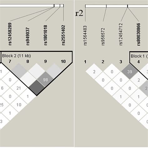 Plot Of Linkage Disequilibrium Ld By Haploview Version 4 2