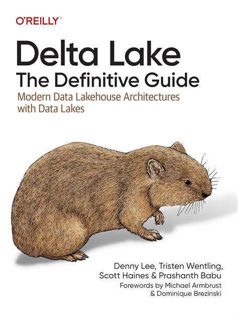 Delta Lake The Definitive Guide Modern Data Lakehouse Architectures With Data Lakes Ebook