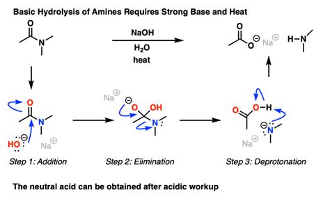 Simple Hydrolysis Reaction