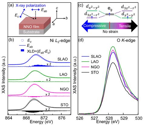 A Schematic Of Experimental Configuration For Xas Measurements With