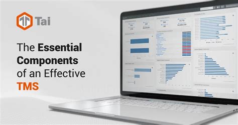 The Essential Components Of An Effective Tms Tai Software