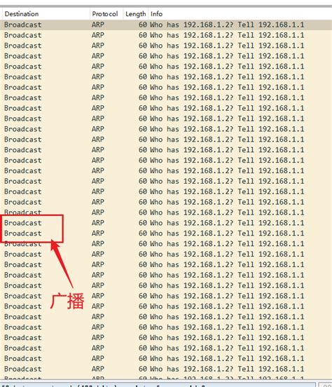 Day06 Stp学习笔记stp计时器 Csdn博客
