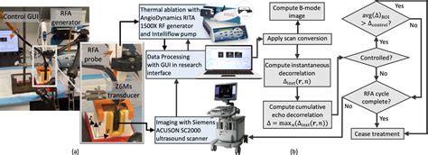 Real Time Control Of Radiofrequency Ablation Using Three Dimensional Ultrasound Echo