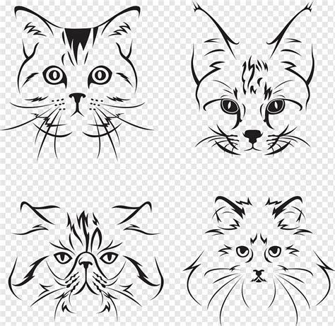Морда котика рисунок 78 фото