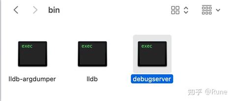 macos升级后vscode codelldb调试进程闪退 无反应 解决方案 知乎