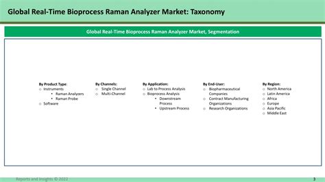 Ppt Real Time Bioprocess Raman Analyzer Market Region Focused Analysis 2030 Powerpoint