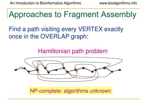 Ppt Graph Algorithms In Bioinformatics Powerpoint Presentation Free
