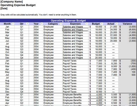 Annual Operating Budget Template Excel