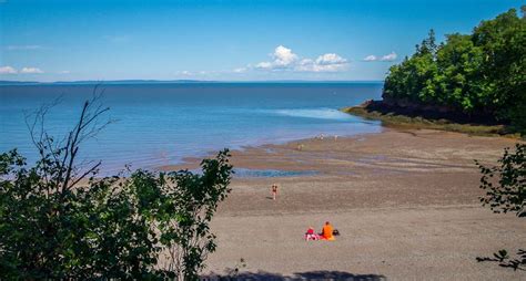 Things To Do In Fundy National Park Hike Bike Travel