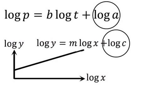Log Exponential To Linear Graph Teaching Resources Log Exponential To Linear Graph Teaching Resources