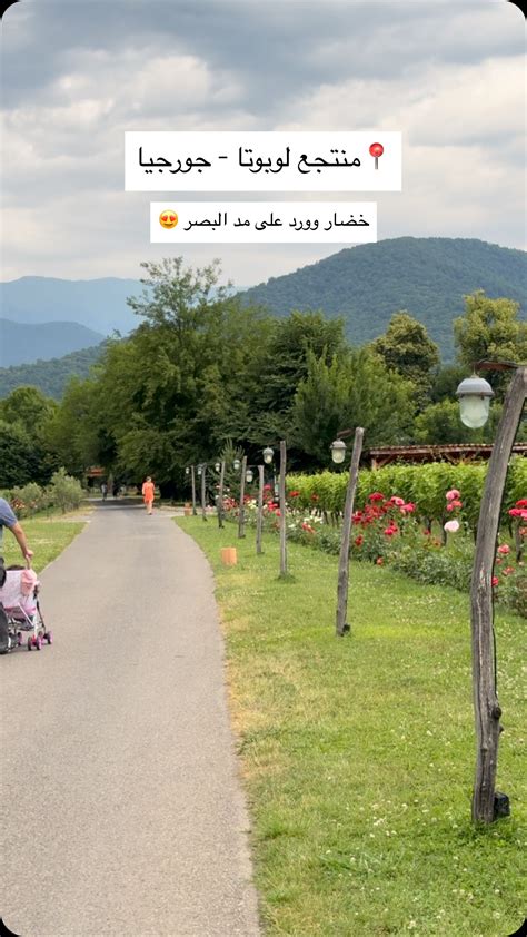 ‎السياحة في جورجيا مع ريمو‎ ‎عرض شهر يونيو السياحة في جورجيا مع ريمو شركة سياحية في جورجيا