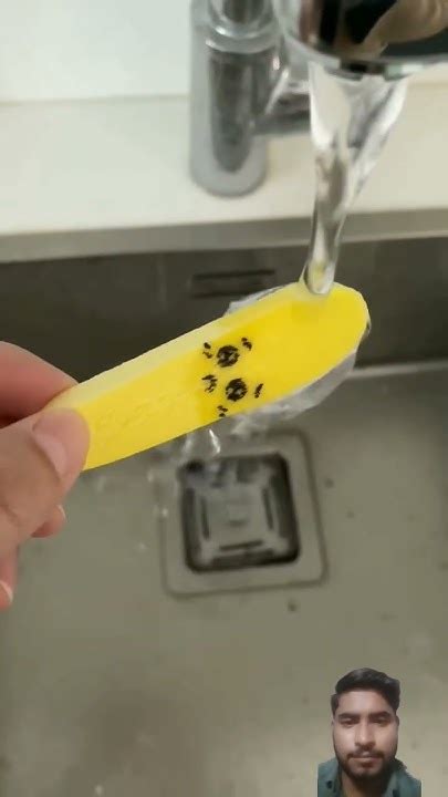 Spongebobs Looking Rough These Days 🧽 Satisfying Youtube