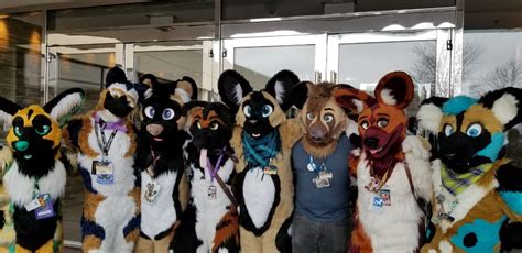 Midwest Furfest African Wild Dog Meet Up Rfurry