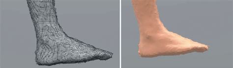 Triangular Mesh Generated By A Delaunay Triangulation Algorithm B