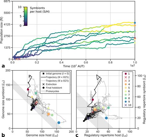 Primitive Holobionts Adapt To Nutrient Gradient A Population Size