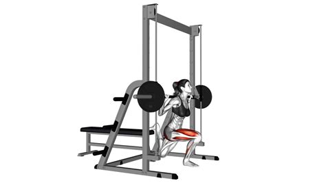 Smith Single Leg Split Squat Ultimate Video Guide And Tips