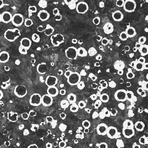Pdf Microstructure Of As Cast Ferritic Pearlitic Nodular Cast Irons