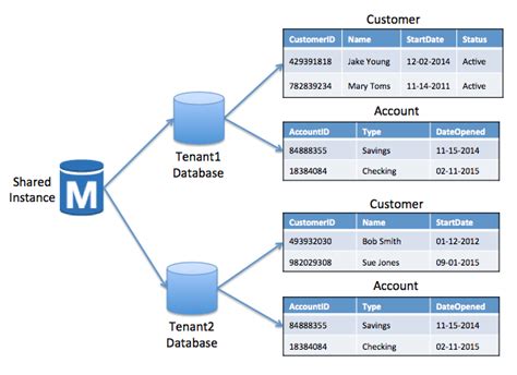 multitenancy on amazon rds saas storage strategies