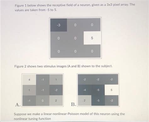 Solved Figure 1 Below Shows The Receptive Field Of A Neuron
