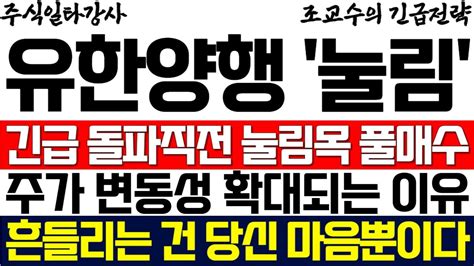 유한양행 주가 조교수 긴급 돌파직전 눌림목 풀매수 자리 주가 변동성 확대되는 진짜 이유 지금 흔들리는 건 당신 마음