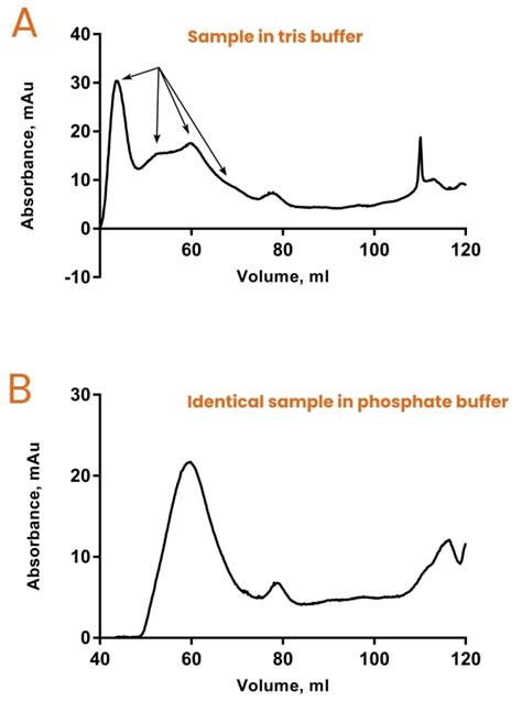 Size Exclusion Chromatography Molecular Weight In Steps