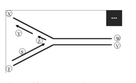 Transcription Translation Replication Flashcards Quizlet