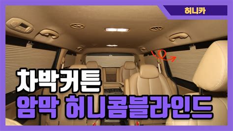 카니발 스타렉스 스타리아 팰리세이드 커튼으로 암막 허니콤블라인드를 소개합니다 Youtube