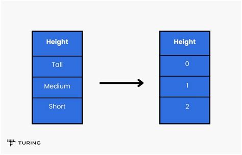 How Data Collection Data Preprocessing Assist Machine Learning
