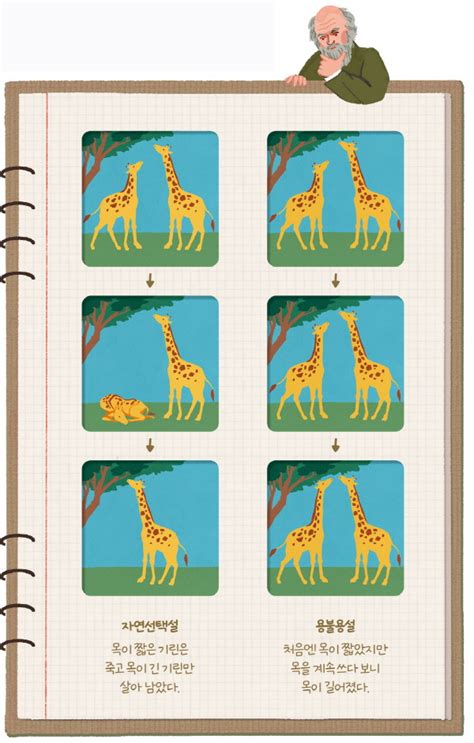 다윈은 용불용설을 부정하지 않았다