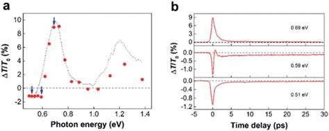 Optical Experimental Results Showing The General Signatures Of Ta Download Scientific Diagram