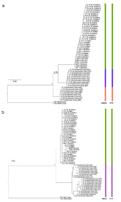Bayesian Inference Phylogenetic Trees Based On Coi A And Its2 B Download Scientific Diagram