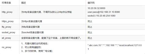 Linux系统下终端proxy代理配置 龍龍小宝 博客园